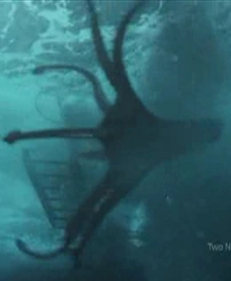 Vampire Squid (Sanctuary) | Alien Wiki | Fandom