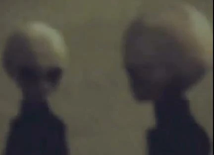 Gray | Alien Wiki | Fandom