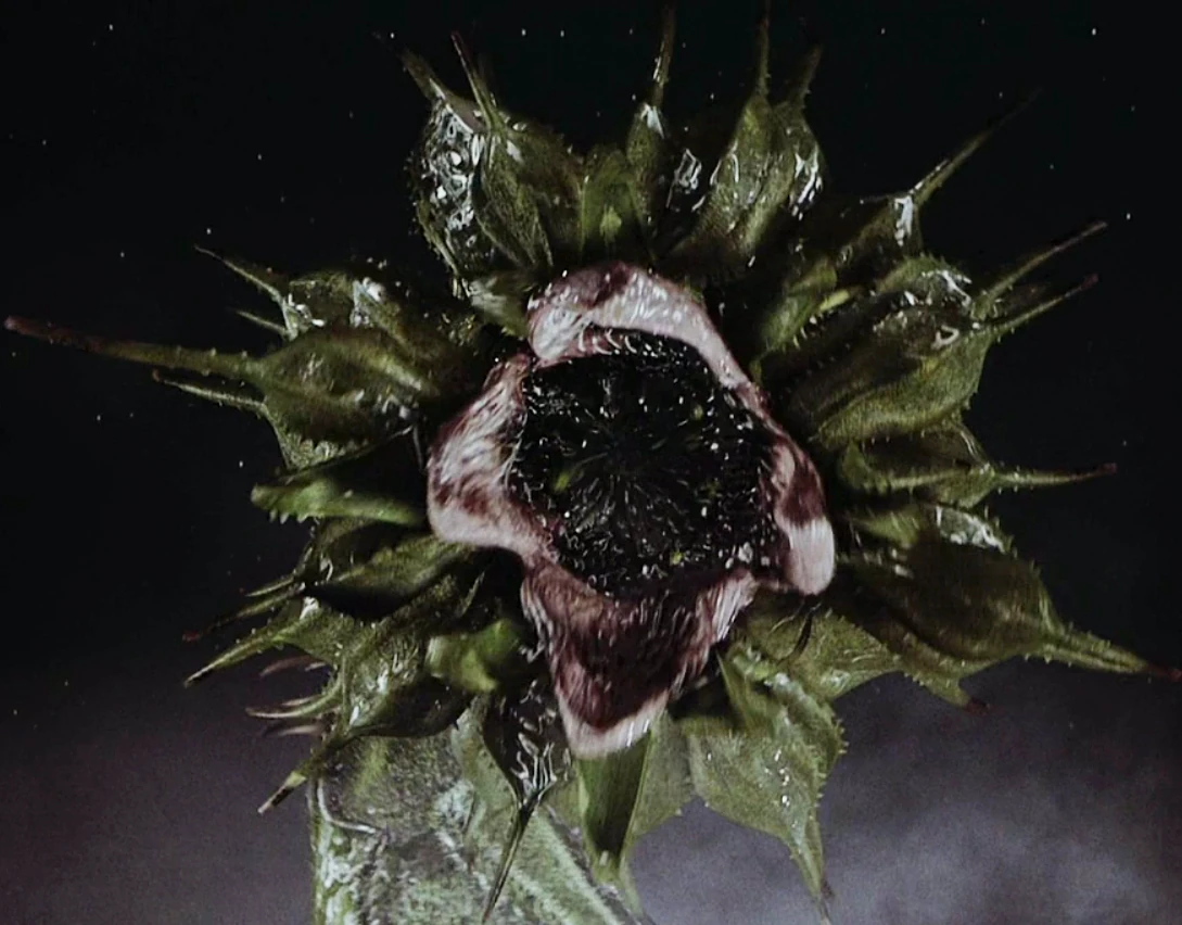Serleena | Alien Wiki | Fandom