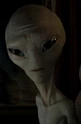 Paul | Alien Wiki | Fandom