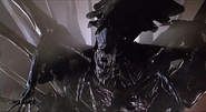Queen | Alien Wiki | Fandom
