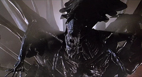 Queen | Alien Wiki | Fandom