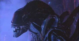 Warrior | Alien Wiki | Fandom