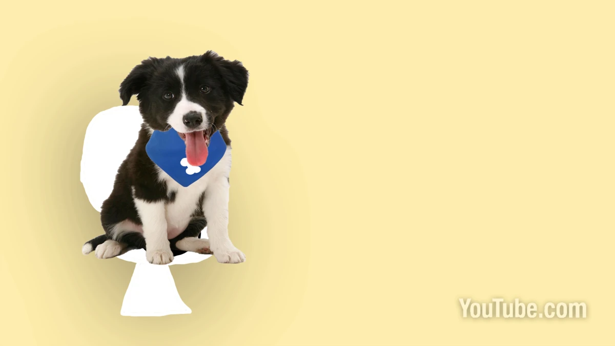 Lost in China | AlienInterloper Wiki | Fandom