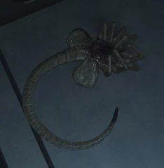 Facehugger - Alien: Isolation Wiki