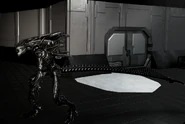 Aliens | Alien: Prototype Wiki | Fandom