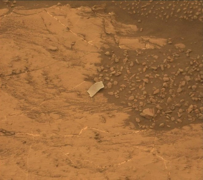 On this day | Foreign Entity Protocols | Fandom