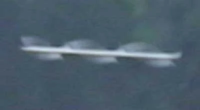 Rod | Foreign Entity Protocols | Fandom