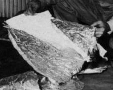 Roswell materiel | Foreign Entity Protocols | Fandom