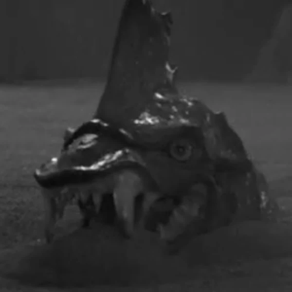 Martian Predator | Alien Species | Fandom