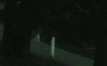 Fresno Nightcrawler | Alien Species | Fandom