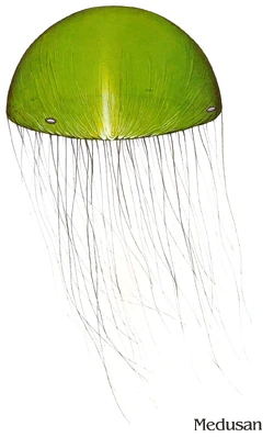 Medusan | Alien Species | Fandom