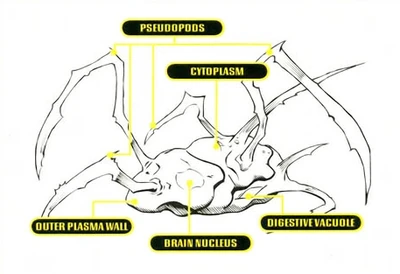 Spike | Alien Species | Fandom