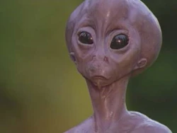 Asgard (Stargate) | Alien Species | Fandom