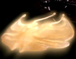 Embryonic Lifeform | Alien Species | Fandom