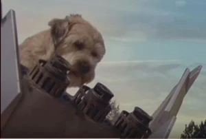 Dog (Good Boy!) | Alien Species | Fandom