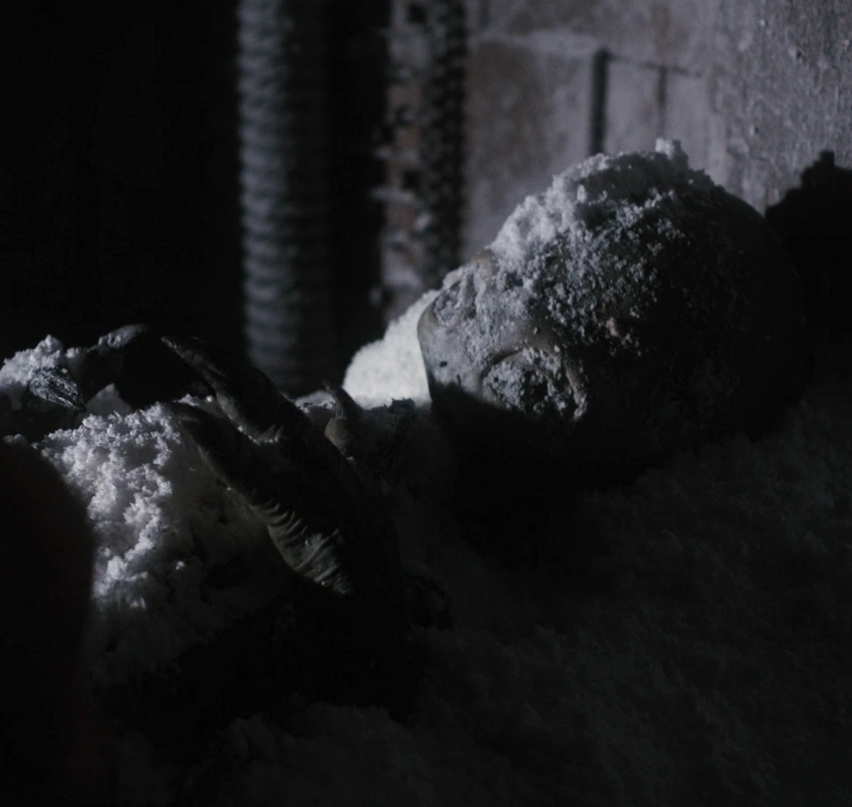 Grey (Another Life) | Alien Species | Fandom