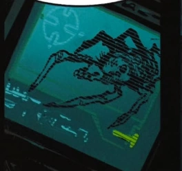 Solifugae | Alien Species | Fandom