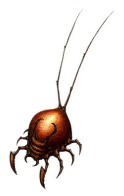 Burrower (Metroid) | Alien Species | Fandom