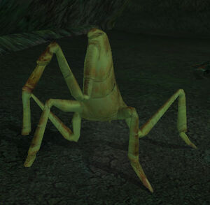 Kinrath | Alien Species | Fandom