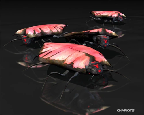 Chariot Bug | Alien Species | Fandom