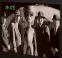 Reticulan (Sliders) | Alien Species | Fandom