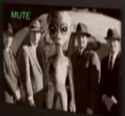 Reticulan (Sliders) | Alien Species | Fandom