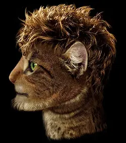 Felinid (Warhammer 40,000) | Alien Species | Fandom