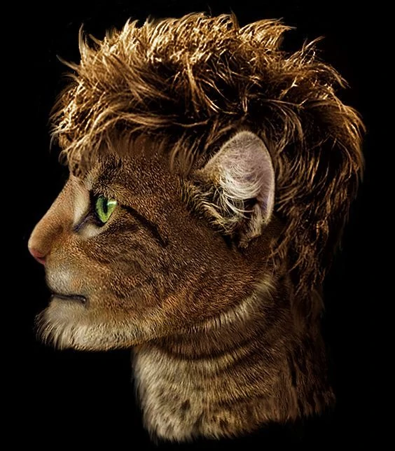 Felinid (Warhammer 40,000) | Alien Species | Fandom