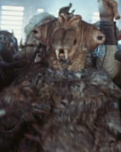 Elom | Alien Species | Fandom