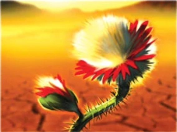 Ravita Flower | Alien Species | Fandom