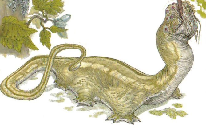 Temptor (Star Wars) | Alien Species | Fandom