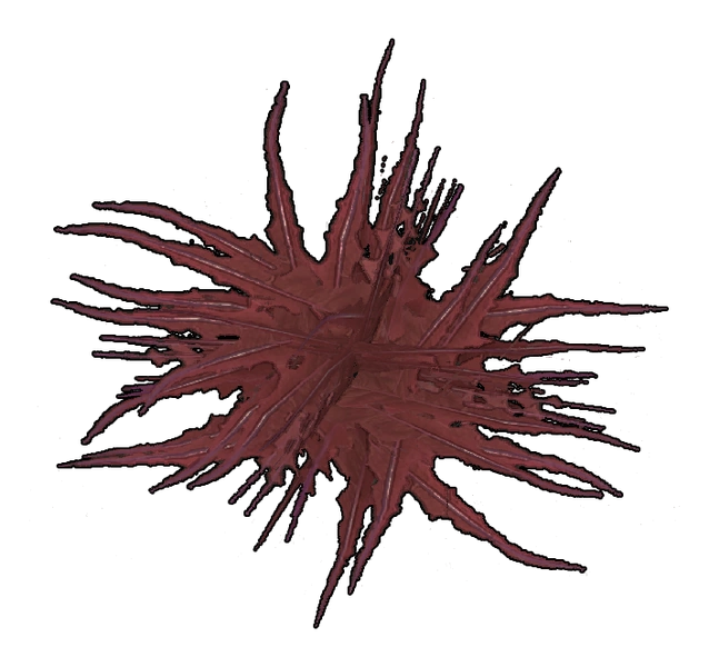 Vain Shroud | Alien Species | Fandom