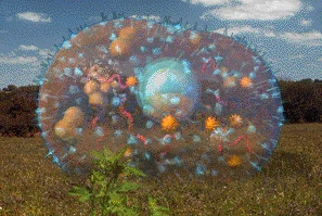 Mebe | Alien Species | Fandom