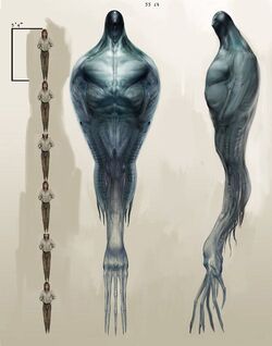 Heptapod | Alien Species | Fandom