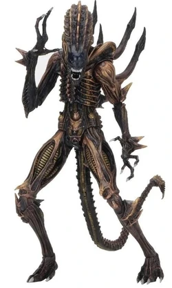 Xenomorph Types