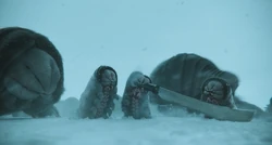 Creeper (Mickey7) | Alien Species | Fandom