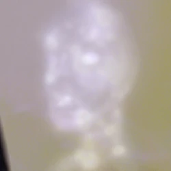 Douwd | Alien Species | Fandom