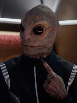 Saurian (Star Trek) | Alien Species | Fandom