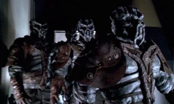 Ogami | Alien Species | Fandom