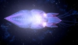 Cetus (Andromeda) | Alien Species | Fandom