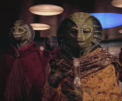 Selay | Alien Species | Fandom