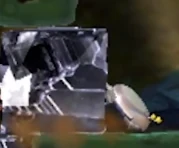 Stony Flint Beetle | Alien Species | Fandom