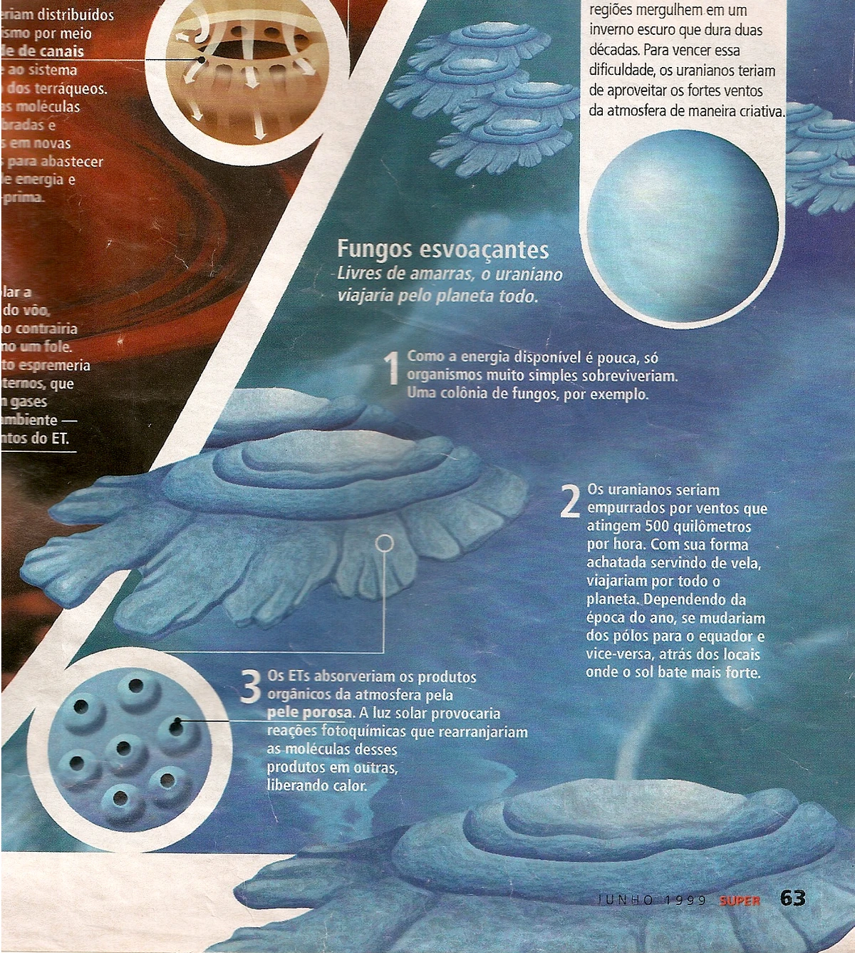 Uranian (Superinteressante) | Alien Species | Fandom