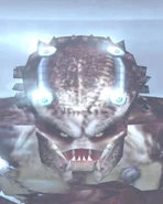 Yautja | Alien Species | Fandom