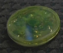 Oprelian Amoeba | Alien Species | Fandom