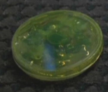 Oprelian Amoeba | Alien Species | Fandom