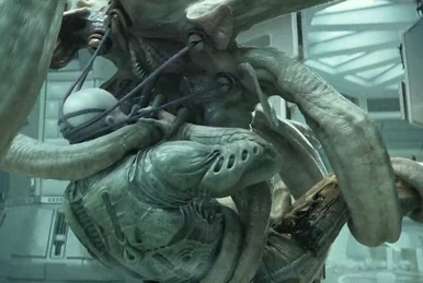 Hammerpede Prometheus