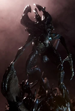 Xenomorph Prime Xenopedia Fandom Powered By Wikia