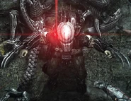 Yautja | Alien Species | Fandom